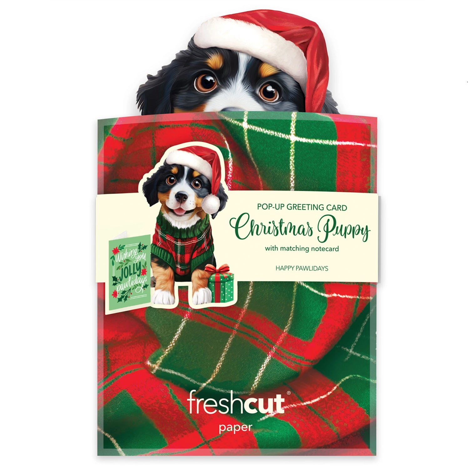 Christmas Puppy Pop Up Greeting Card