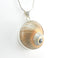 Sterling Silver Moon Snail Shell Pendant